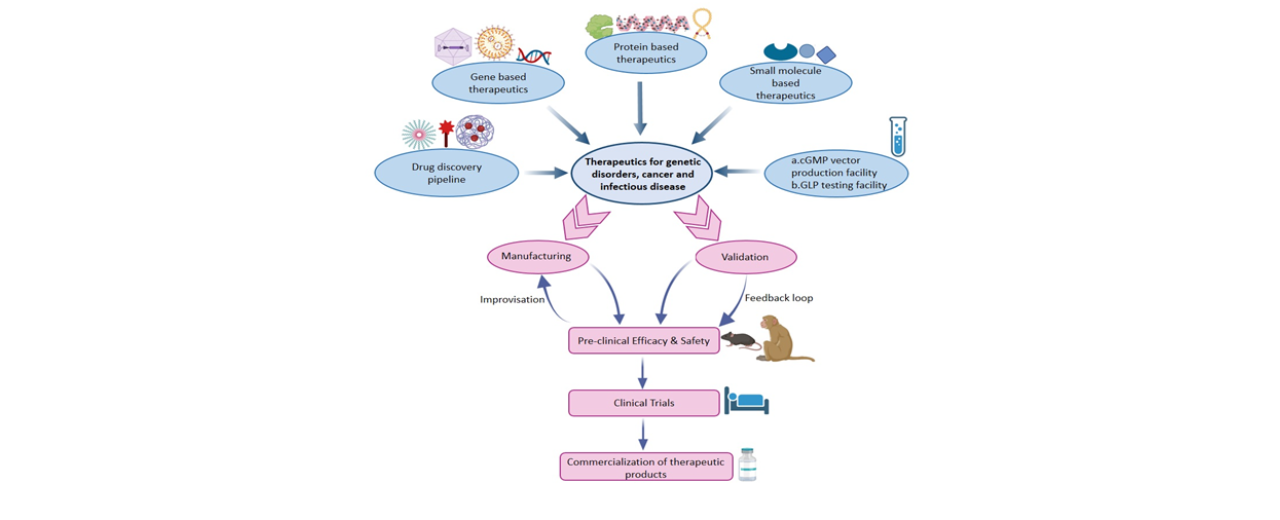 Therapeutics – Gangwal School of Medical Sciences and Technology